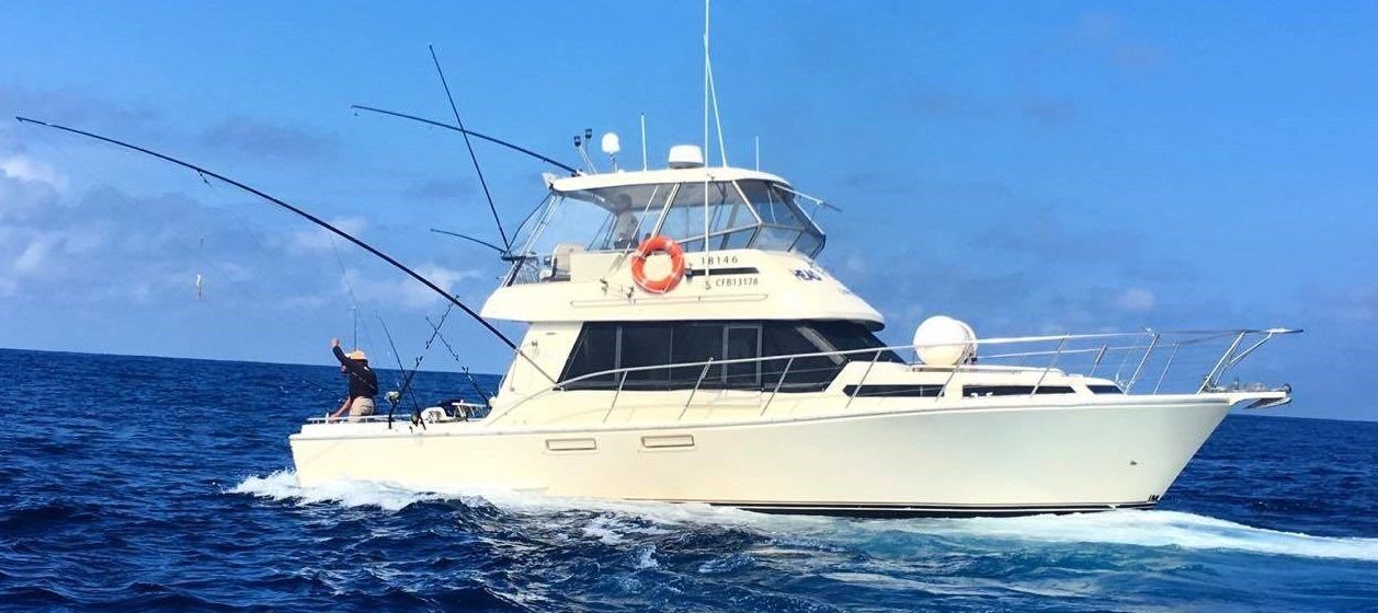 home - Fishing Charters Bermagui 0428995400
